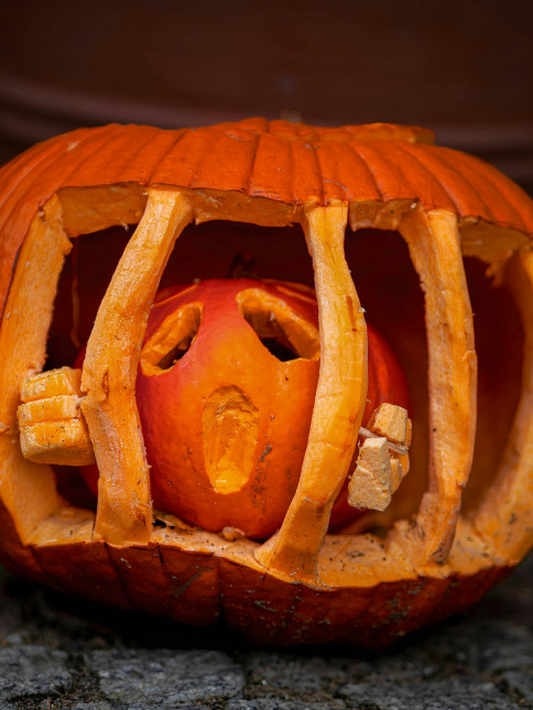 Adult Store, Adult Toys & Novelty Items, Apparel | Waterville, ME